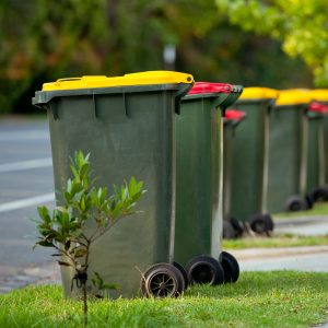 Talis Consultants | Engineering, Environmental, Asset