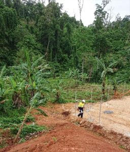 Talis Consultants | Engineering, Environmental, Asset